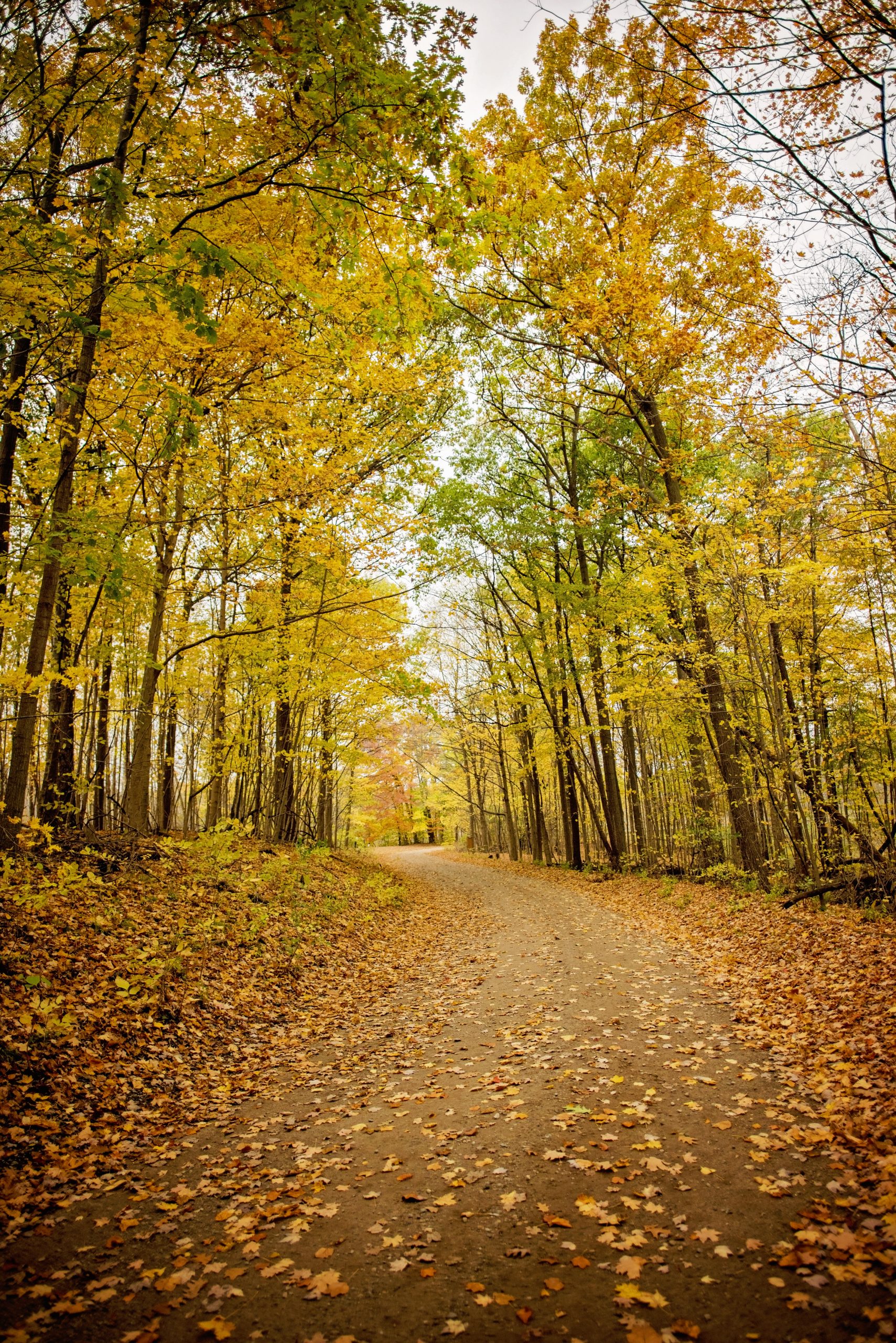 Peaceful Fall Images