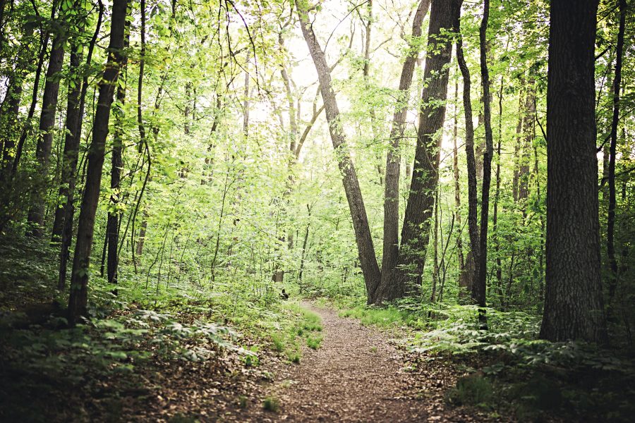 Waterloo Recreation Area Photos & Hiking Guide - Michigan.Photography